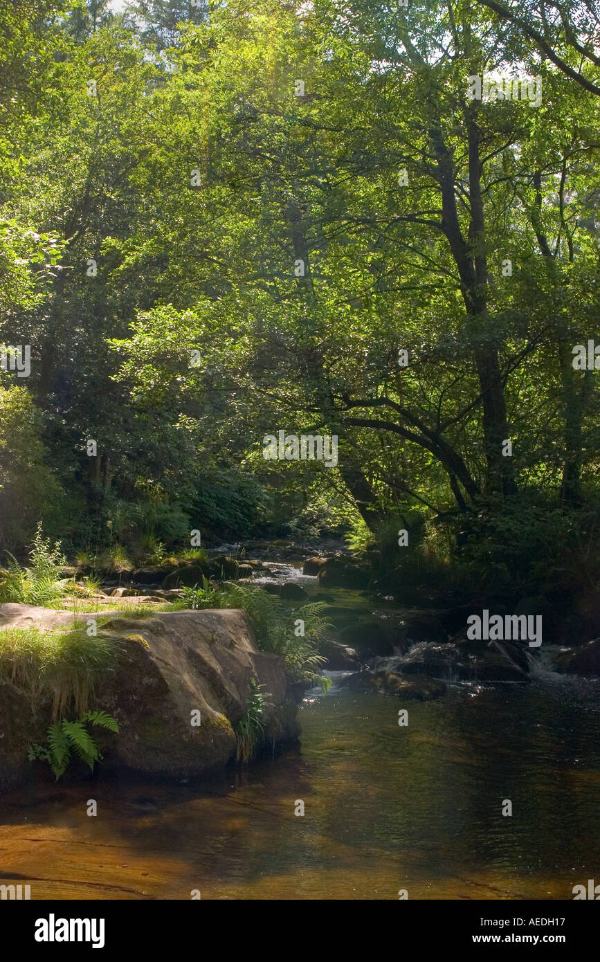 wales powys the brecon beacons national park waterfall taf fechan ...