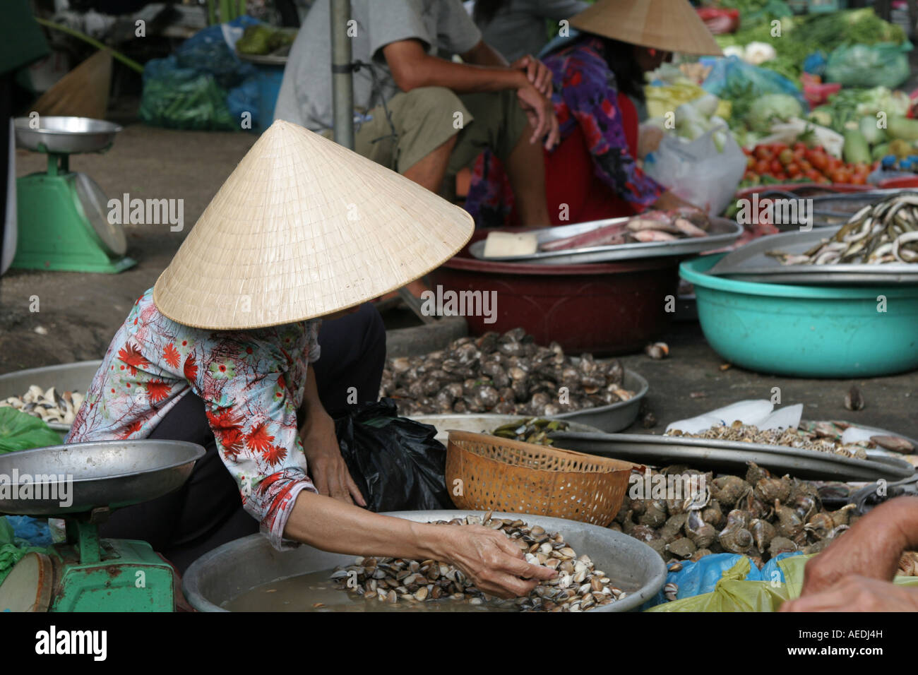 Cleaning the shells Stock Photo - Alamy