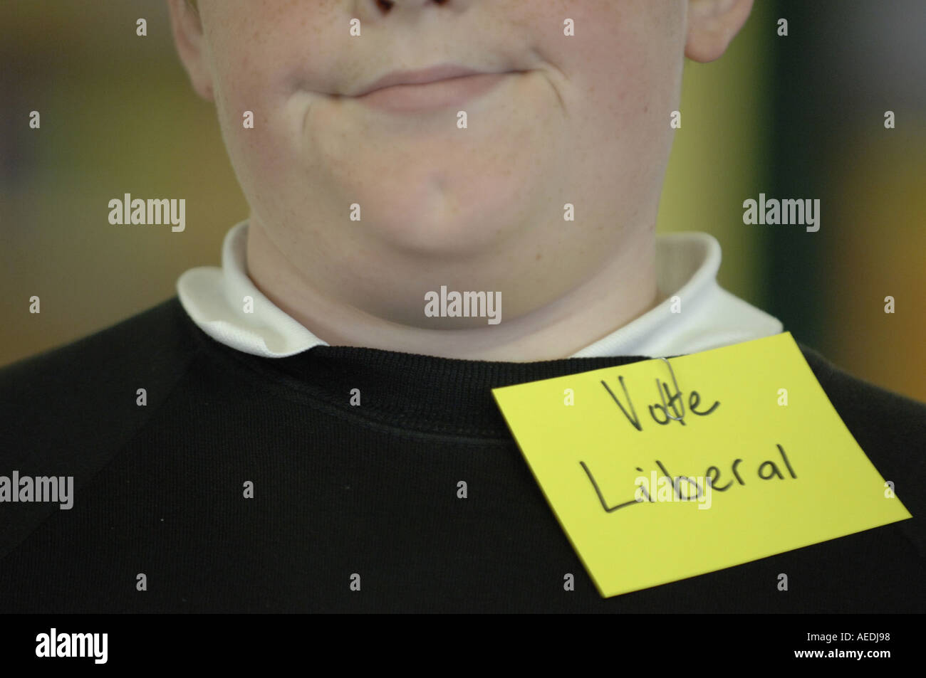 vote liberal, liberal party, uk, british, liberal democrats Stock Photo ...