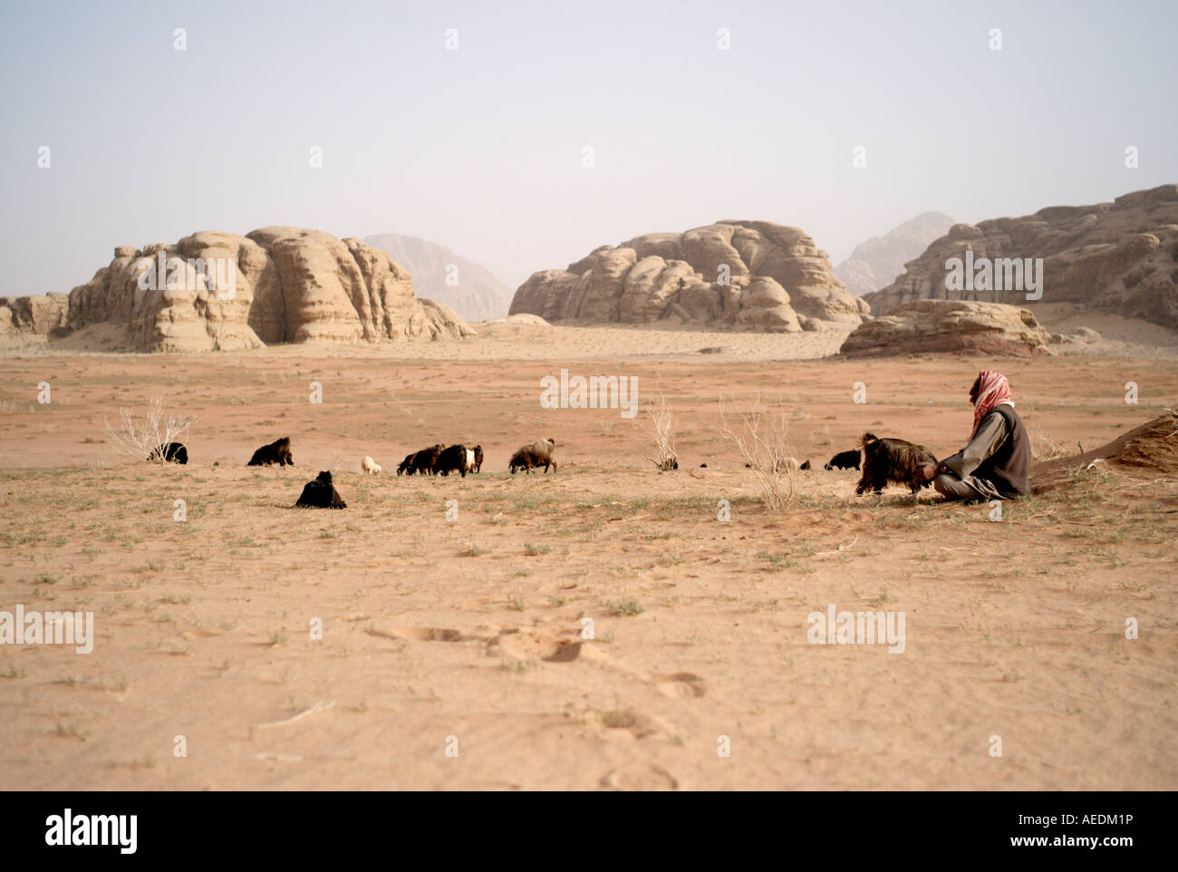 Goat Herder in Wadi Rum desert Stock Photo - Alamy