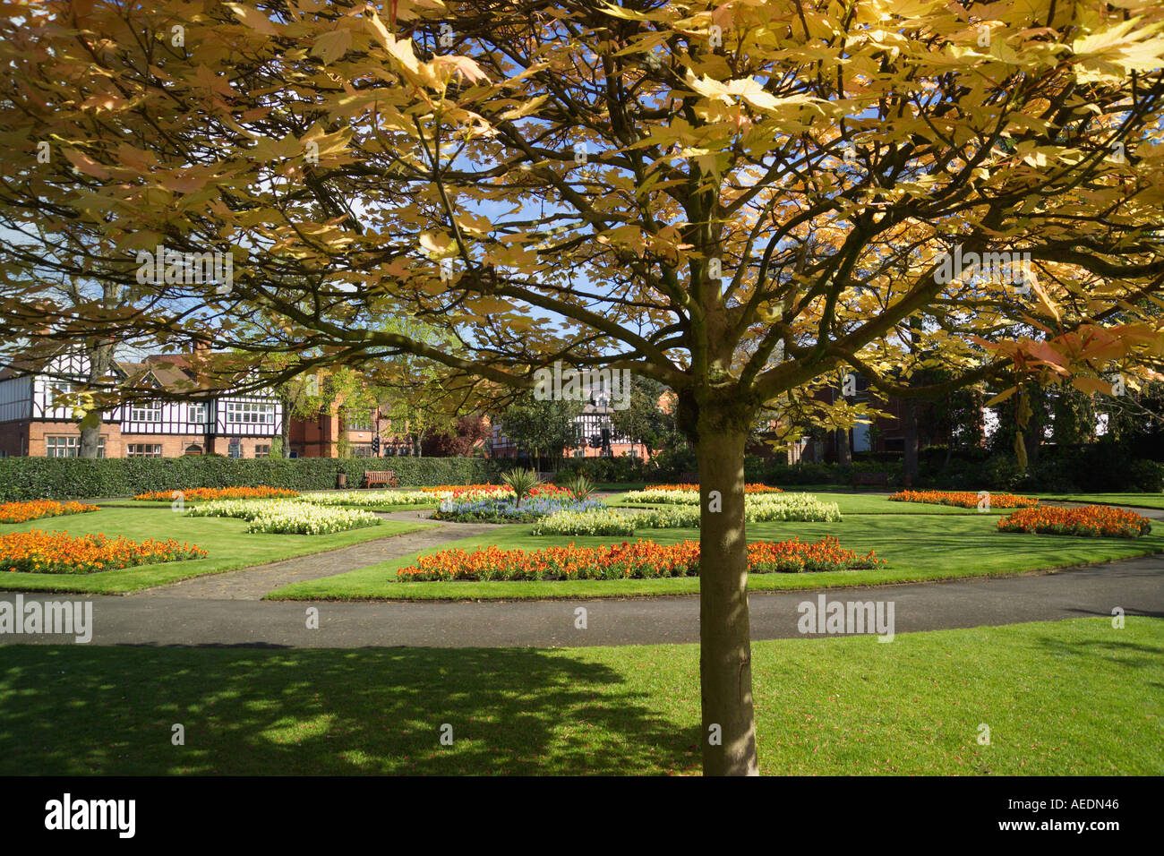 "Grosvenor Park" park Chester tree England Stock Photo - Alamy