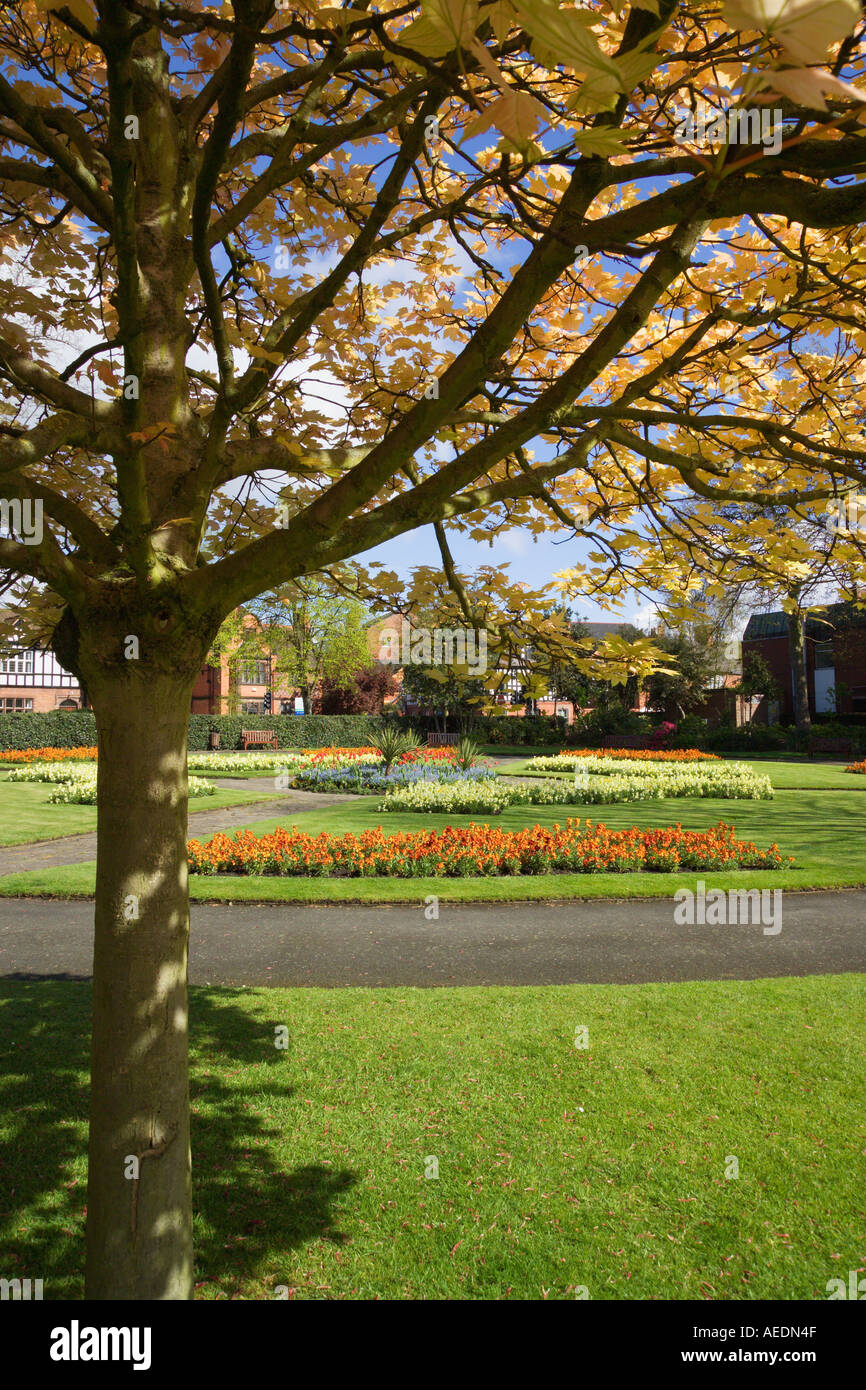 "Grosvenor Park" park Chester tree England Stock Photo - Alamy