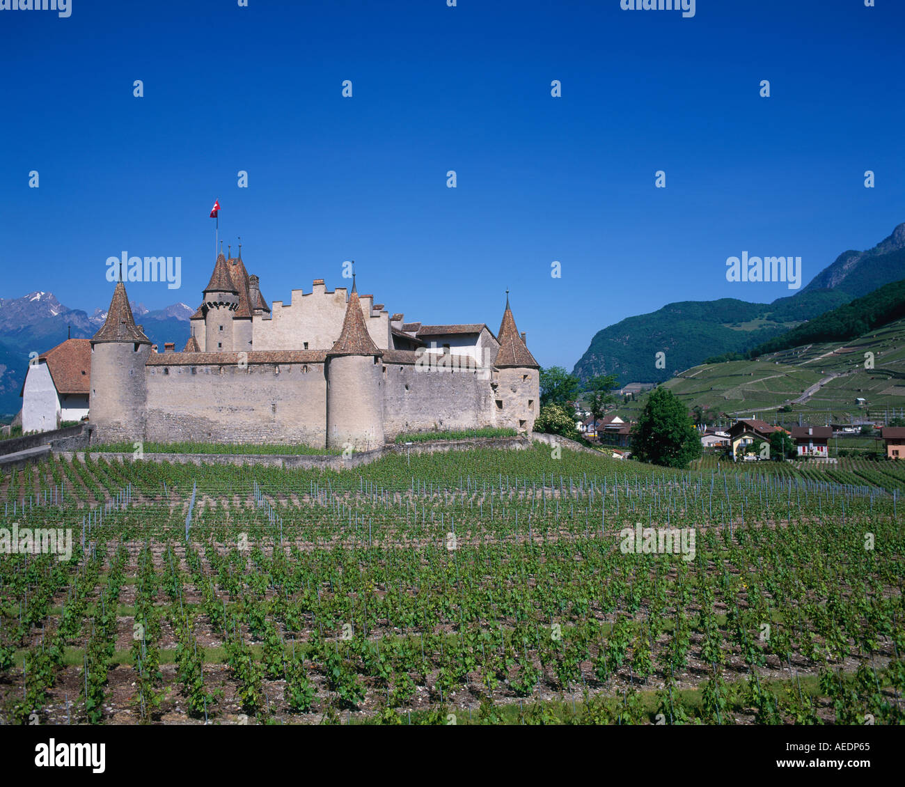 Chateau and Vineyards Aigle Vaud Canton Switzerland Stock Photo - Alamy
