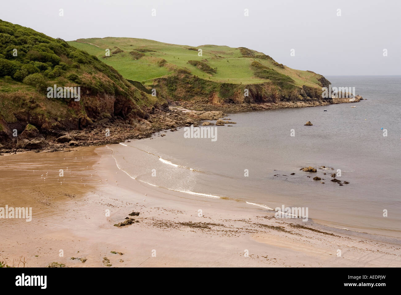 Bolt tail devon hi-res stock photography and images - Alamy