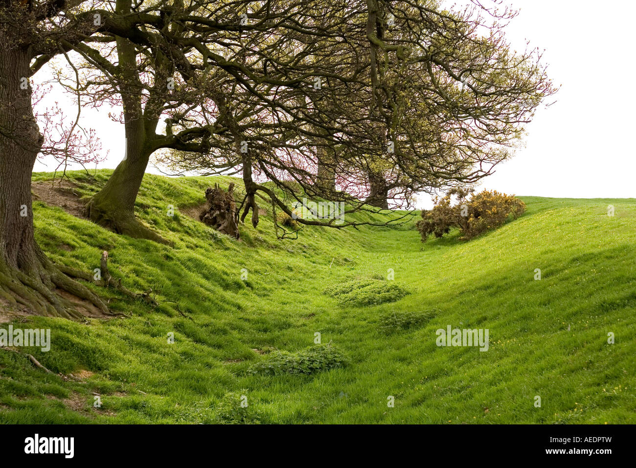 UK Wales Powys Montgomery remains of Offas Dyke forming Wales England ...