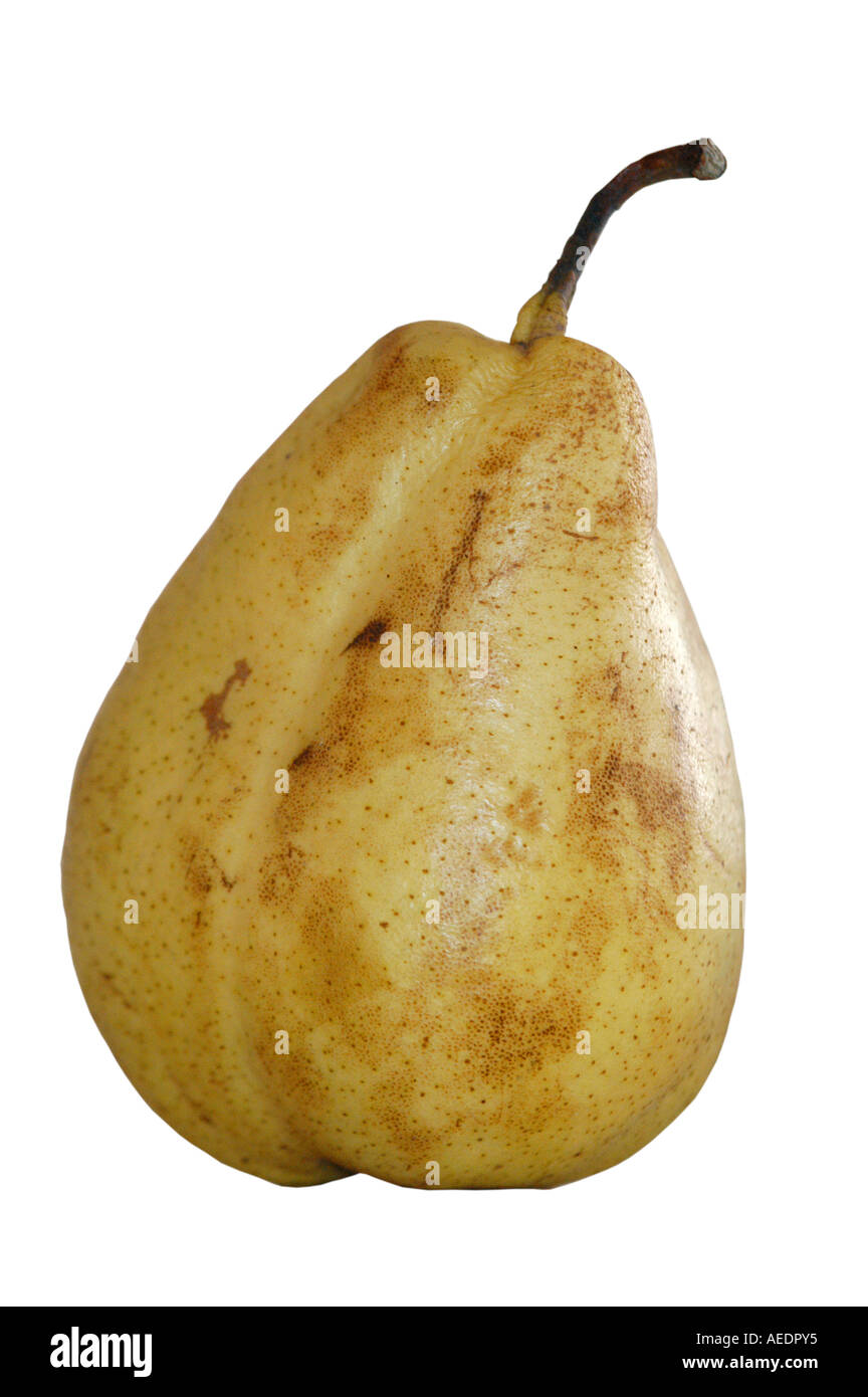 yellow pear balanced close up closeup view color colored color colour ...