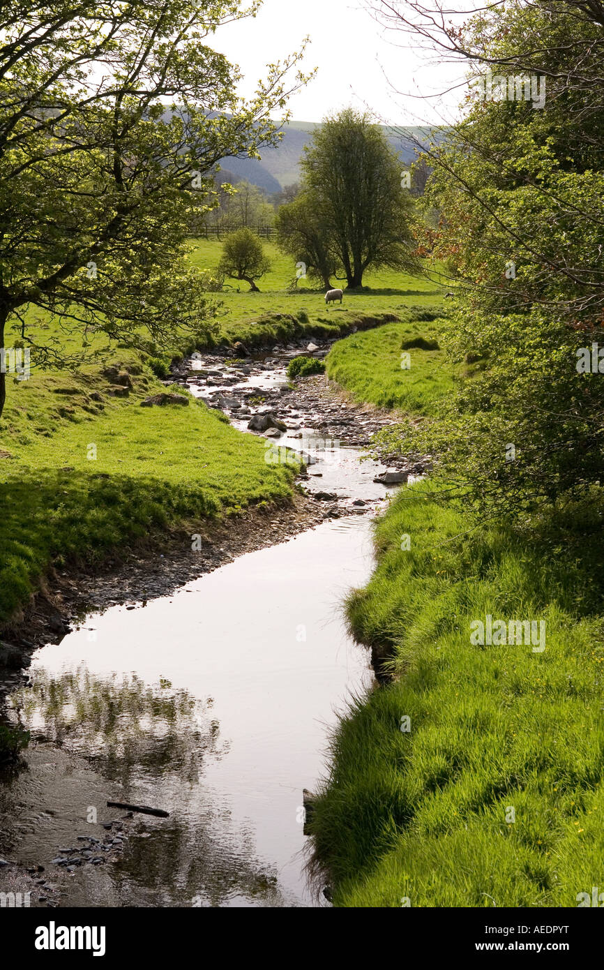 UK Wales Powys New Radnor stream passing through rural fields Stock ...