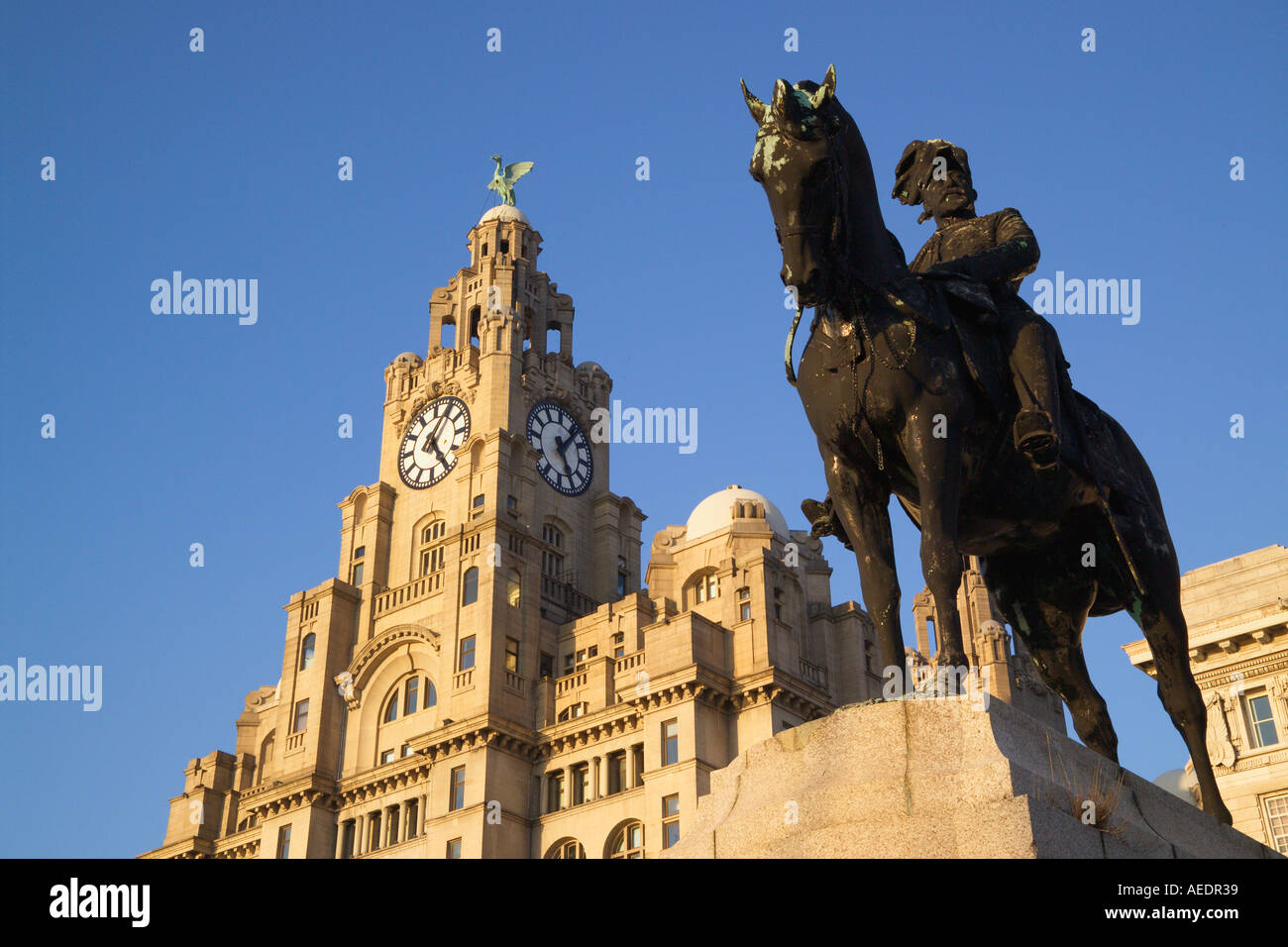 [Liver Building] Statue Liverpool Merseyside Stock Photo - Alamy