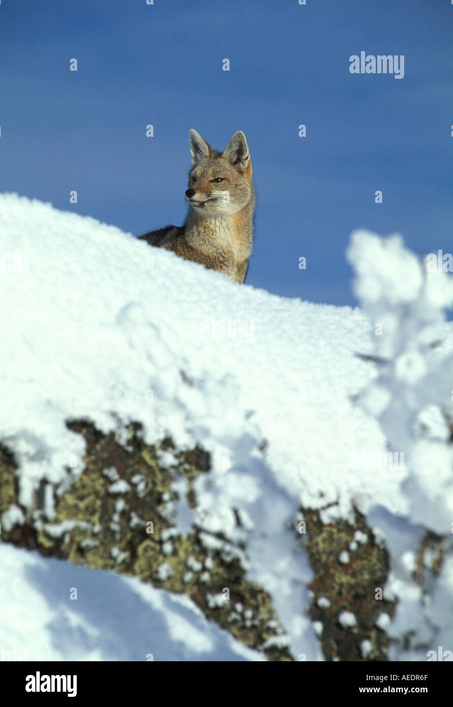 The grey ridge hi-res stock photography and images - Alamy