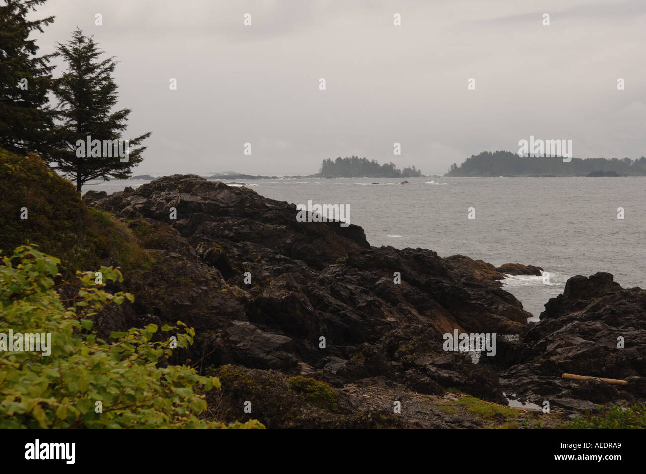 Pacific Rim National Park Canada Stock Photo - Alamy