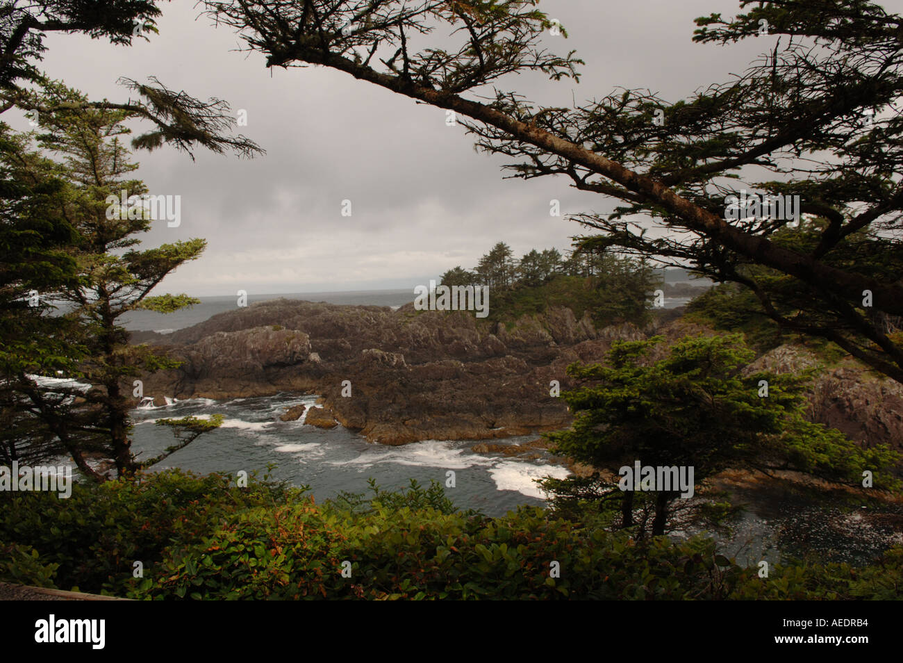 Pacific Rim National Park Canada Stock Photo - Alamy