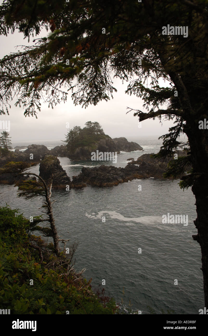 Pacific Rim National Park Canada Stock Photo - Alamy
