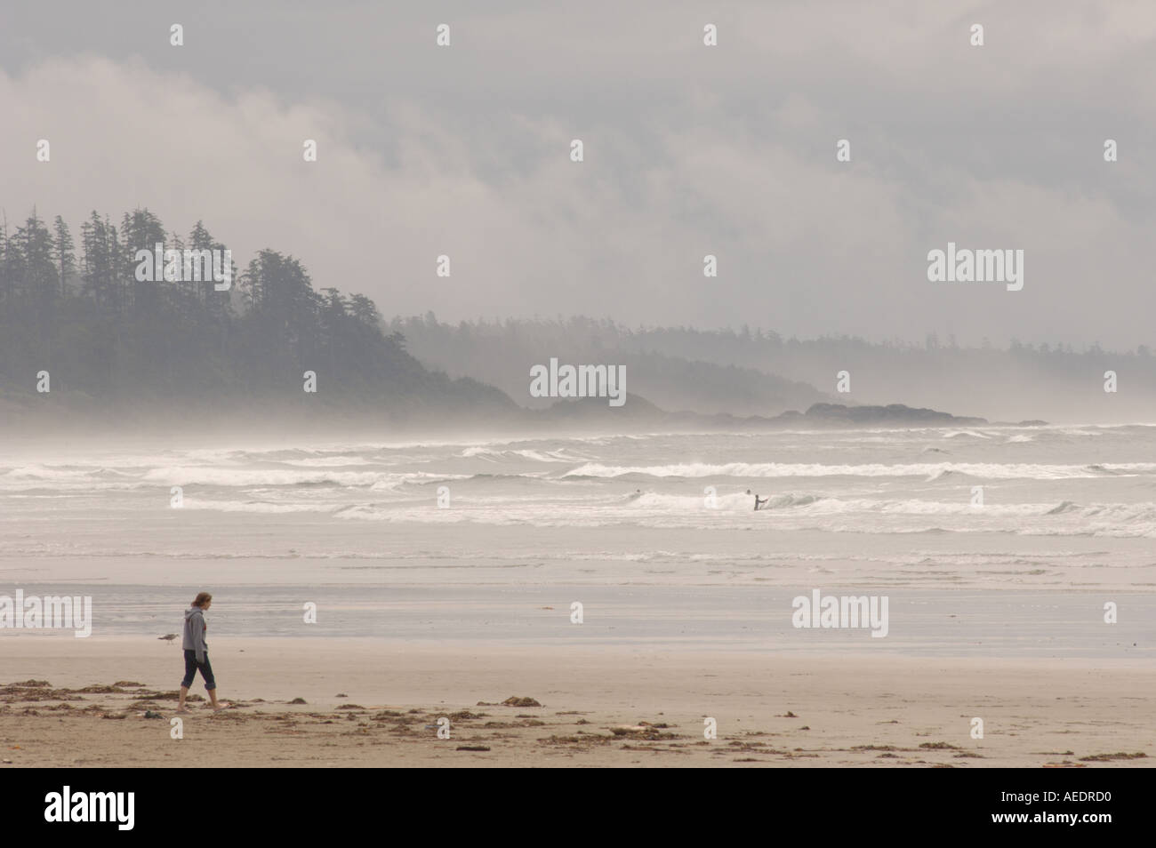 Pacific Rim National Park Canada Stock Photo - Alamy
