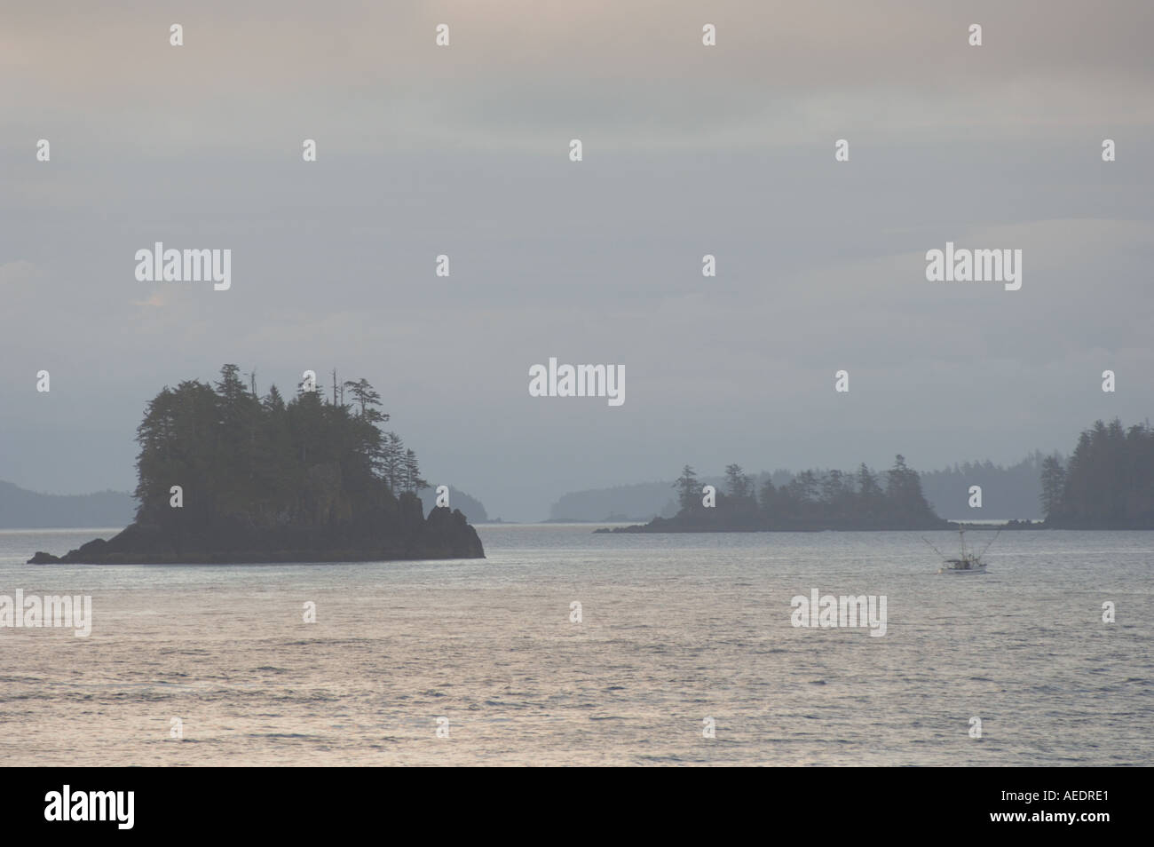 Pacific Rim National Park Canada Stock Photo - Alamy