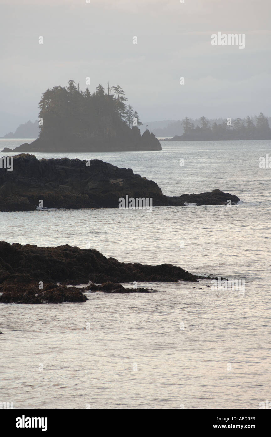 Pacific Rim National Park Canada Stock Photo - Alamy
