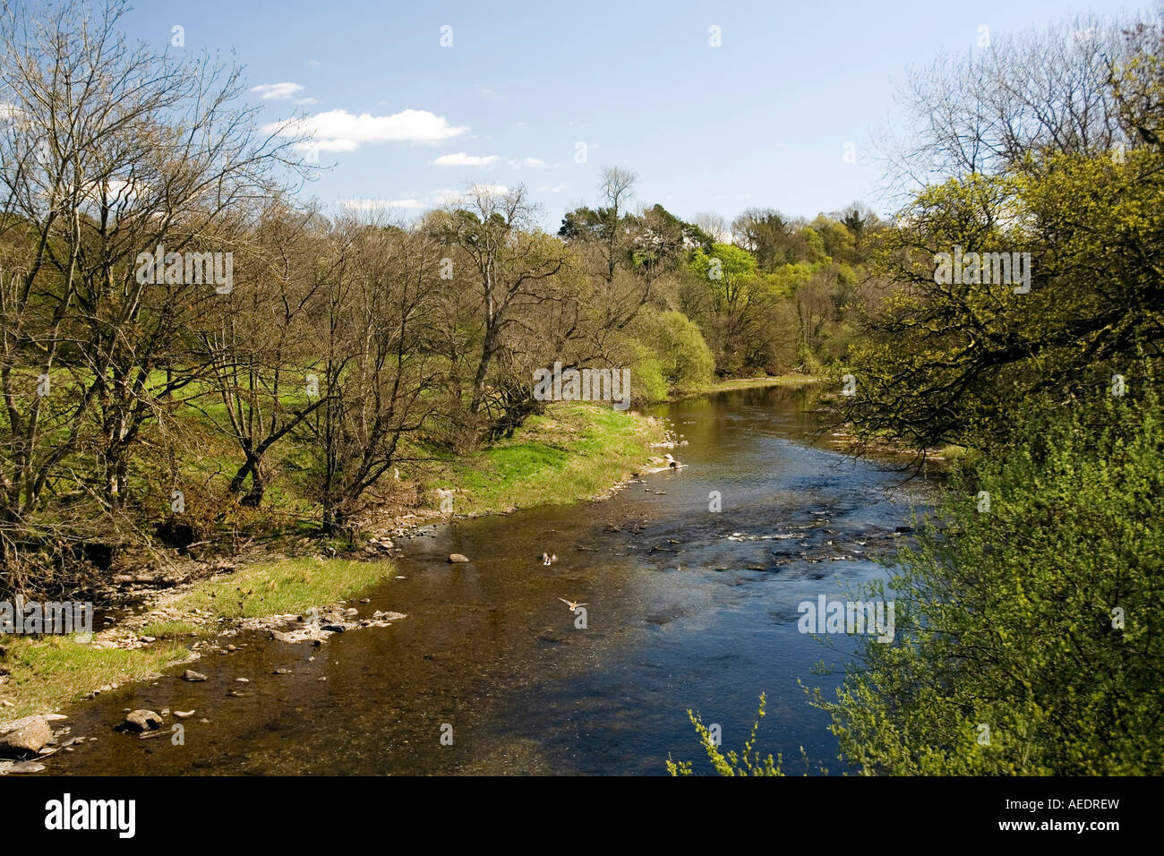 UK Wales Powys River Wye at Brynwern near Dyserth Stock Photo - Alamy