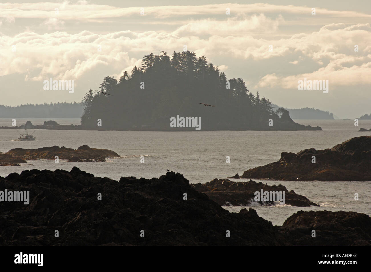 Broken Islands at sunrise Pacific Rim National Park Vancouver Island ...