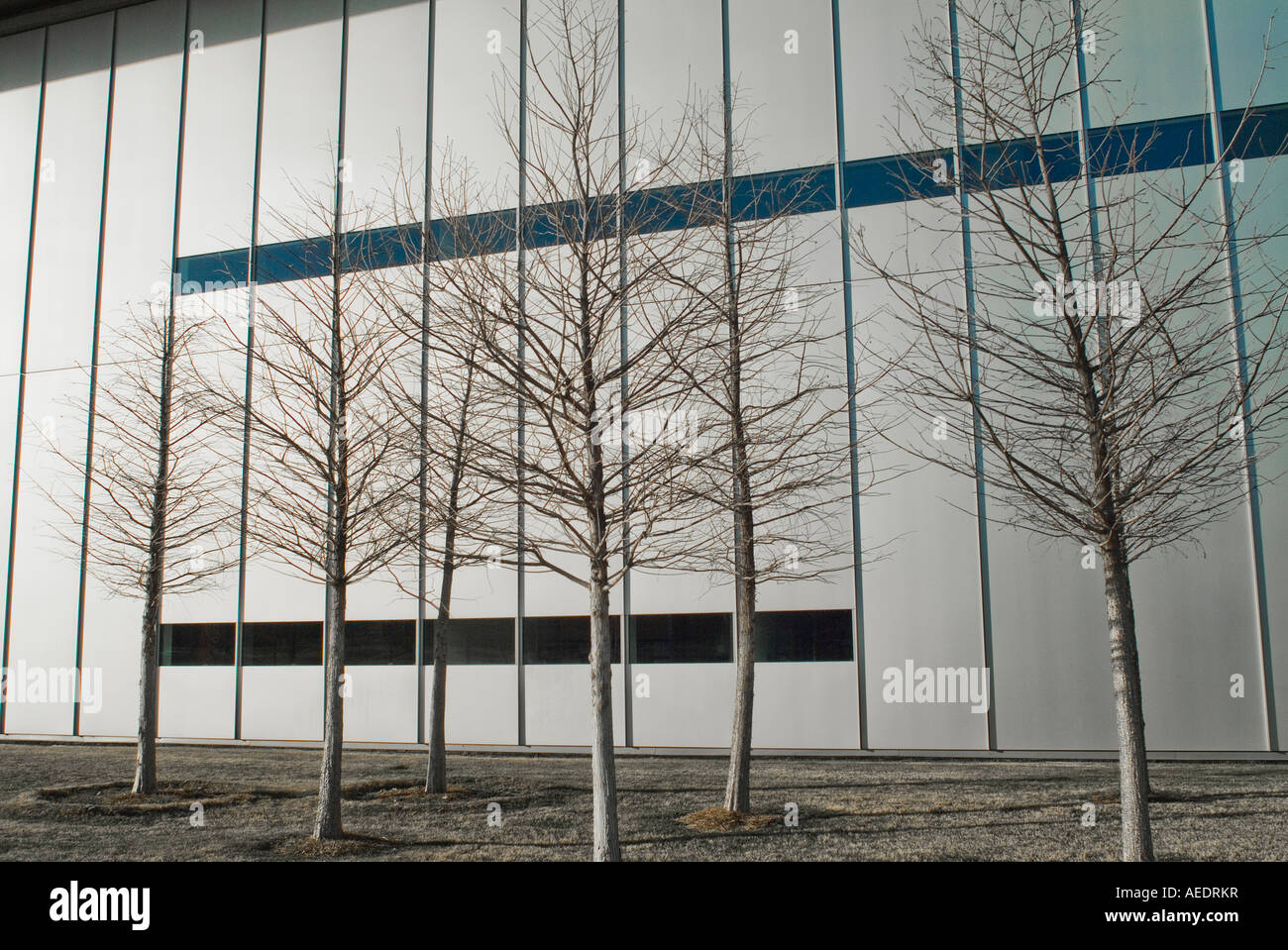 Exterior windows at Modern Art Museum in Ft Worth Texas Stock Photo - Alamy