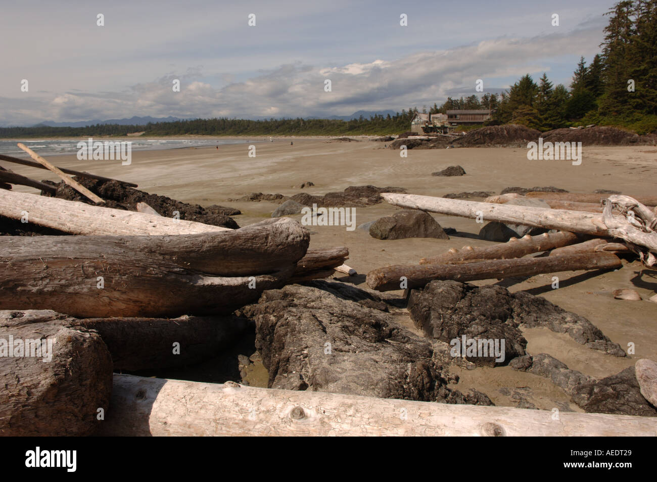 Pacific Rim National Park Canada Stock Photo - Alamy