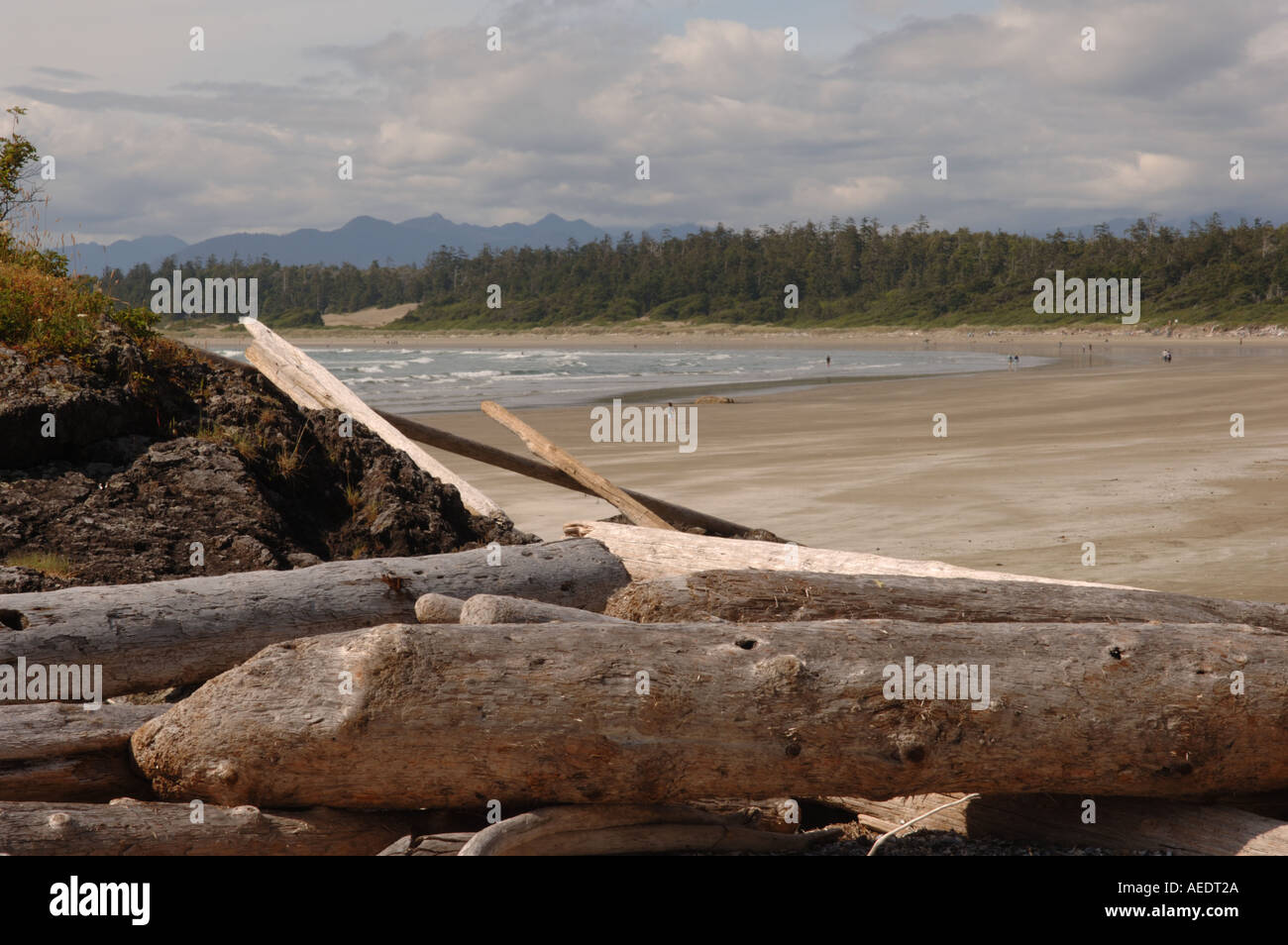 Pacific Rim National Park Canada Stock Photo - Alamy