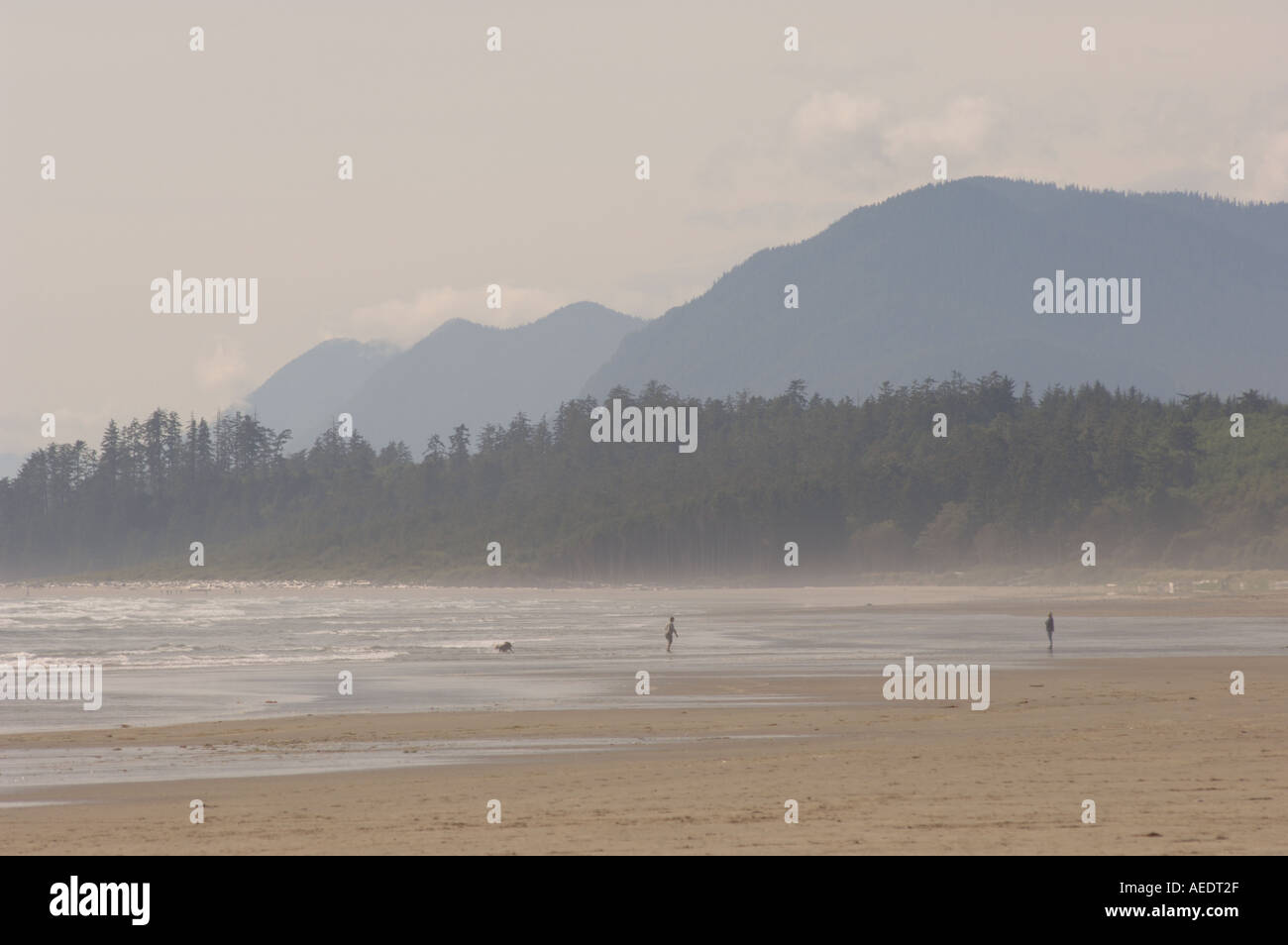 Pacific Rim National Park Canada Stock Photo - Alamy