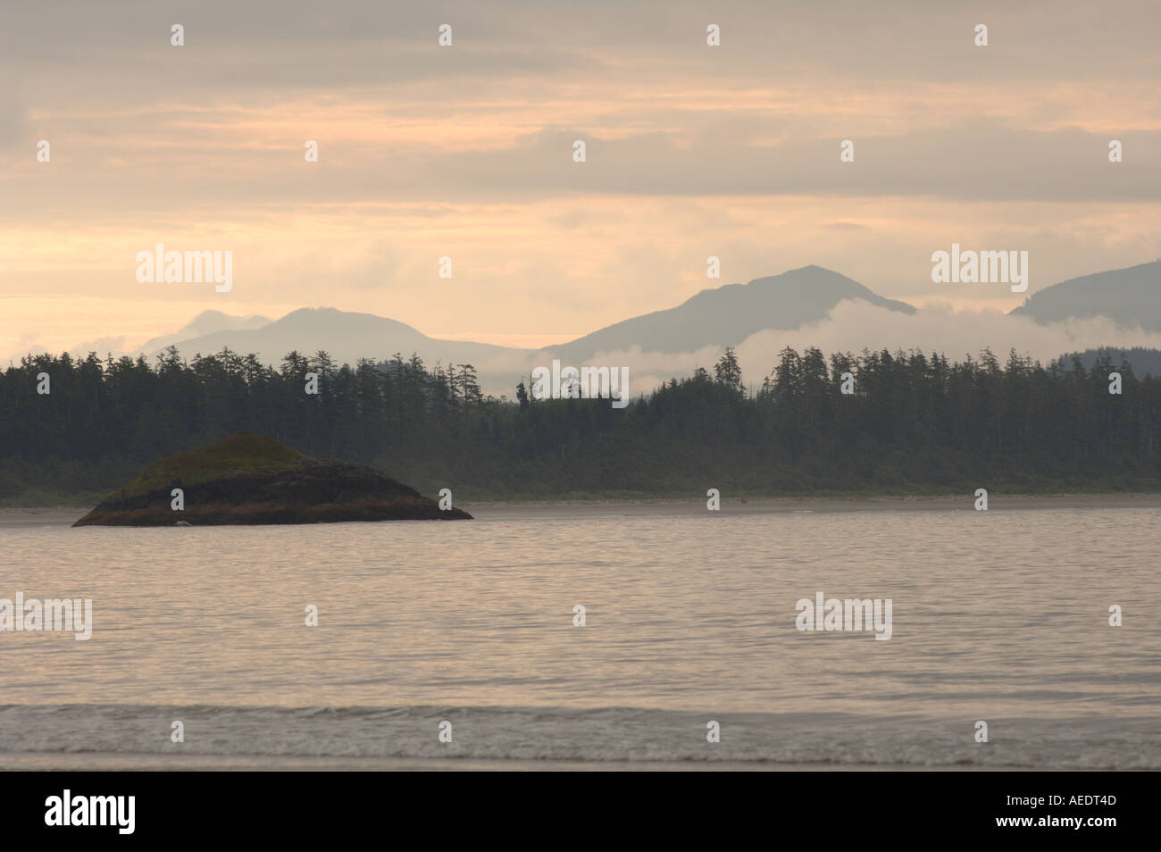 Pacific Rim National Park Canada Stock Photo - Alamy