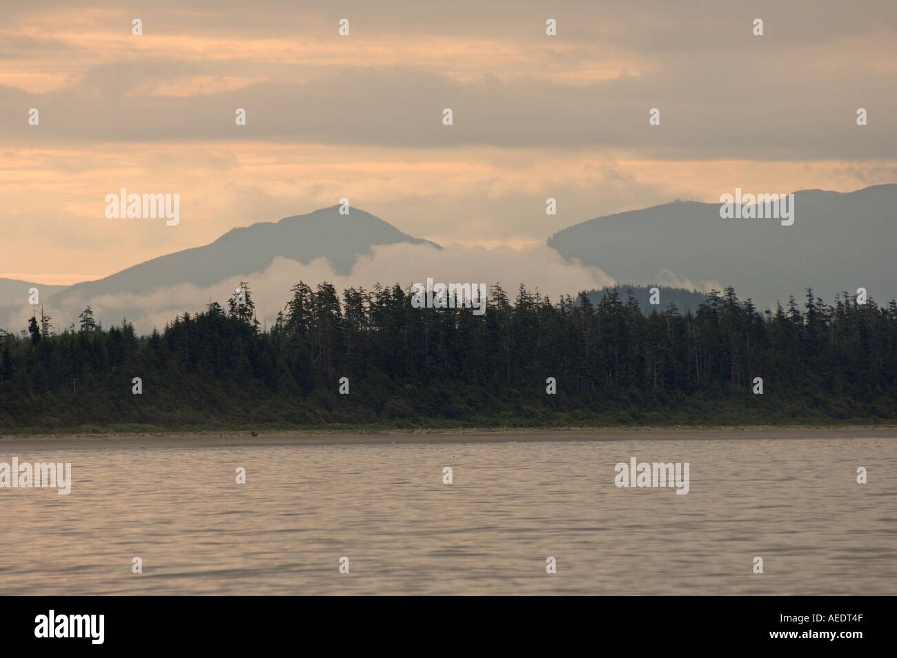 Pacific Rim National Park Canada Stock Photo - Alamy