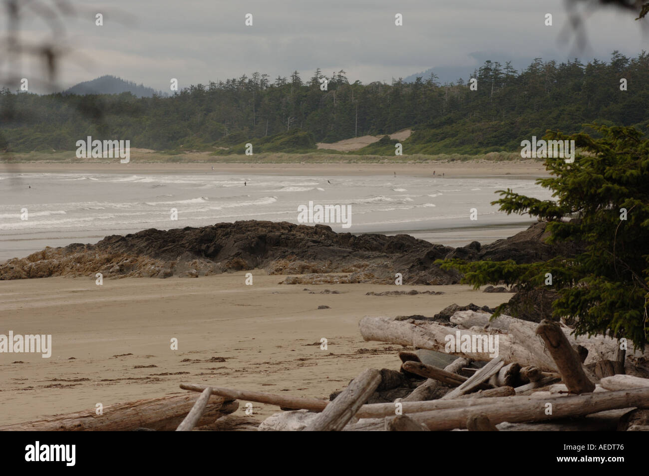 Pacific Rim National Park Canada Stock Photo - Alamy