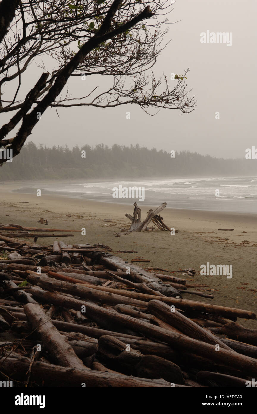 Pacific Rim National Park Canada Stock Photo - Alamy