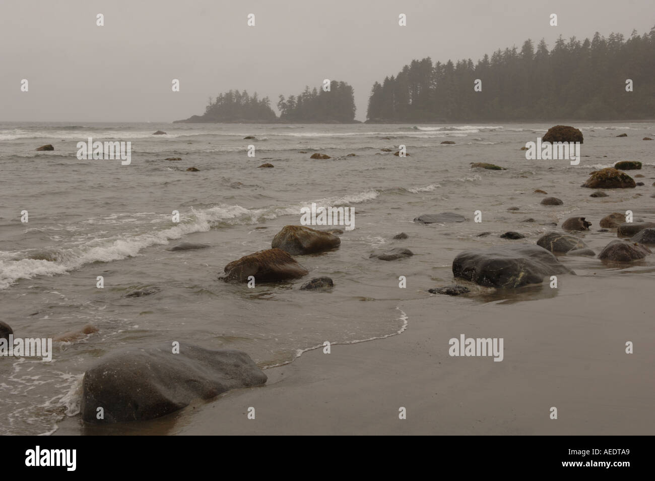 Pacific Rim National Park Canada Stock Photo - Alamy