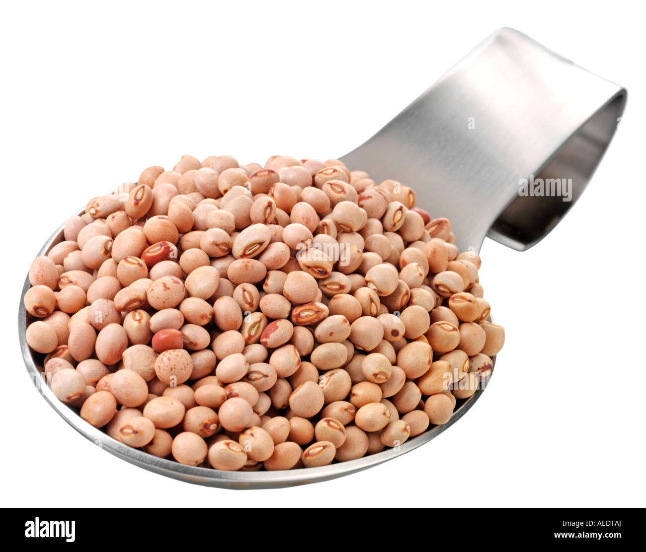 Congo pea Cut Out Stock Images & Pictures - Alamy