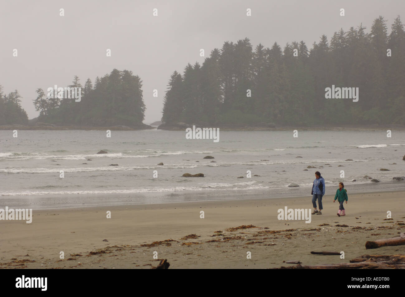 Pacific Rim National Park Canada Stock Photo - Alamy