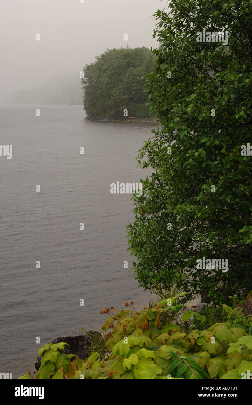 Pacific Rim National Park Canada Stock Photo - Alamy