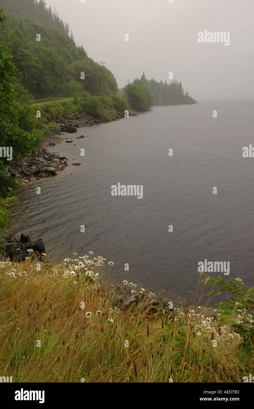 Pacific Rim National Park Canada Stock Photo - Alamy