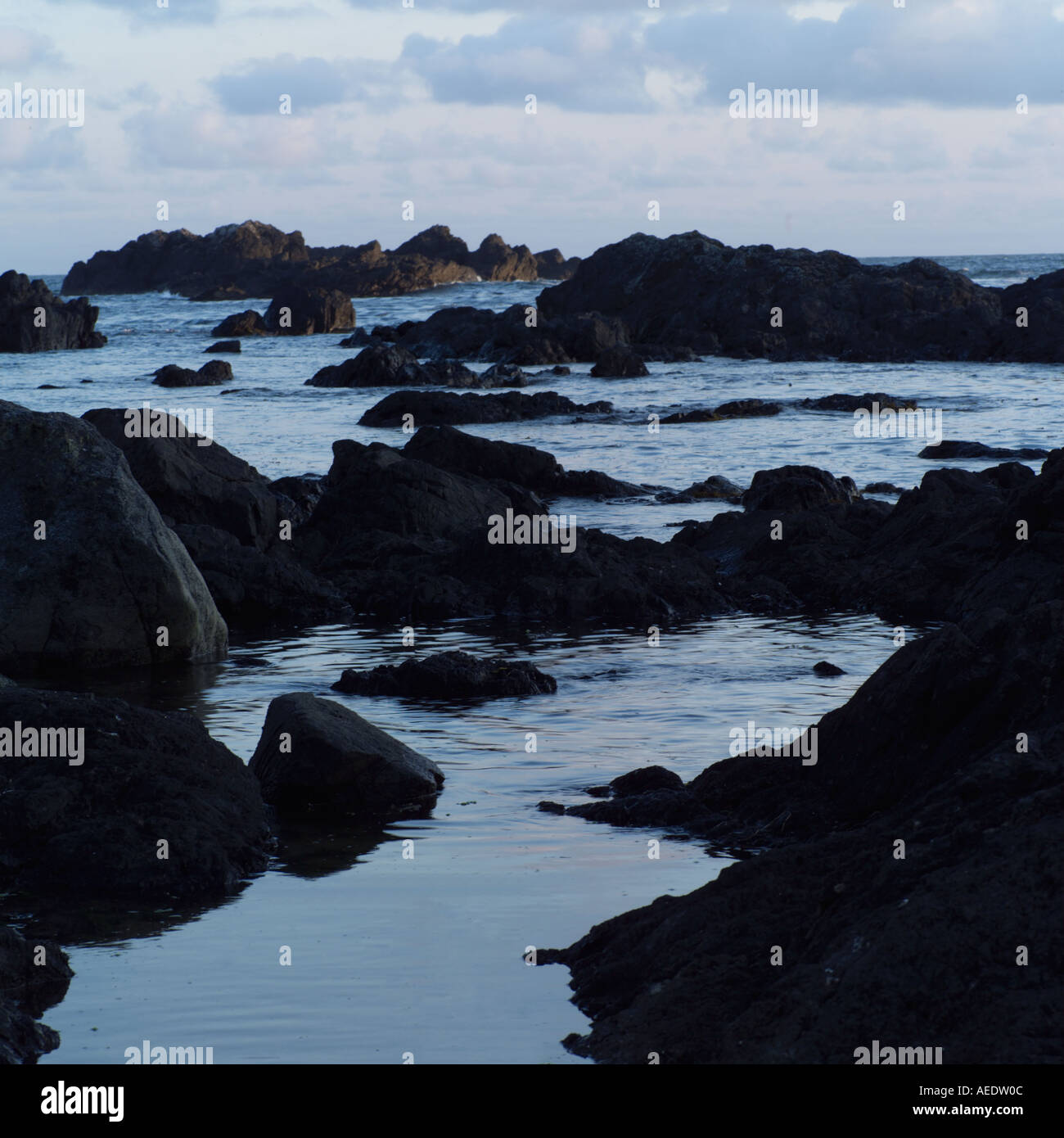 Pacific Rim National Park Vancouver Island Canada Stock Photo - Alamy