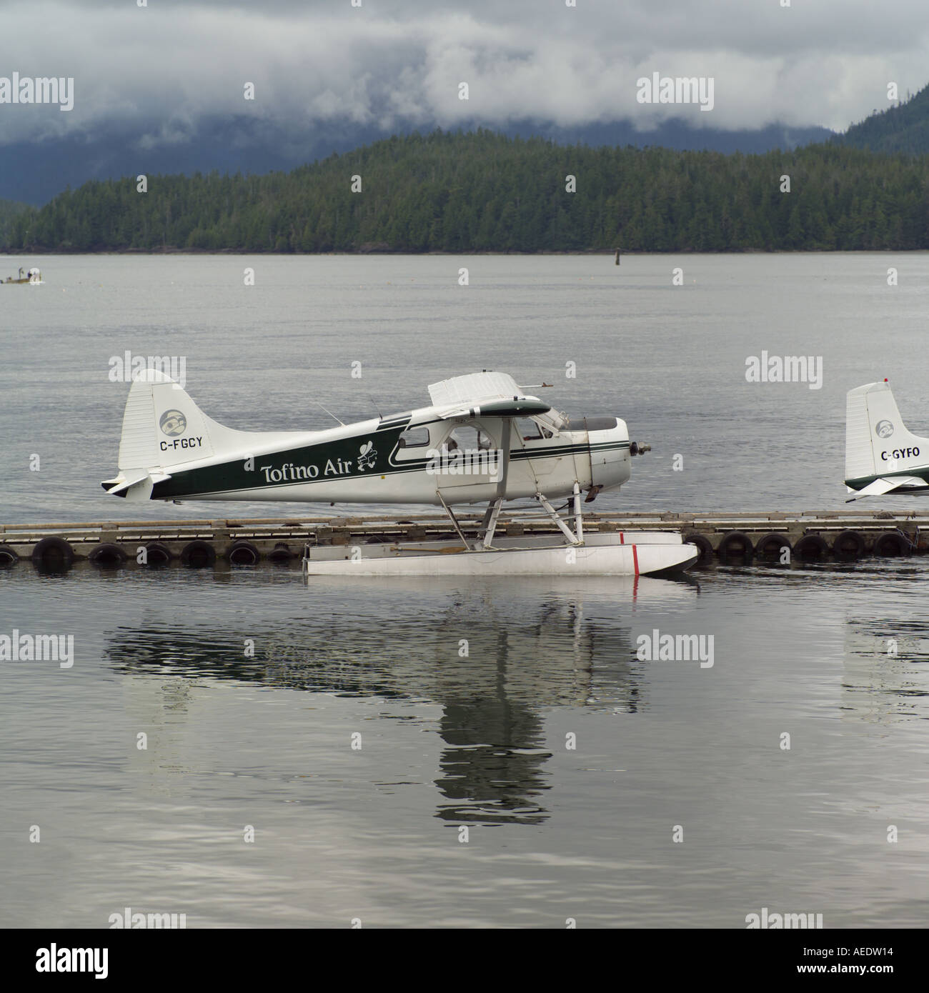 Float plane at dock Pacific Rim Park Vancouver Island Canada Stock ...