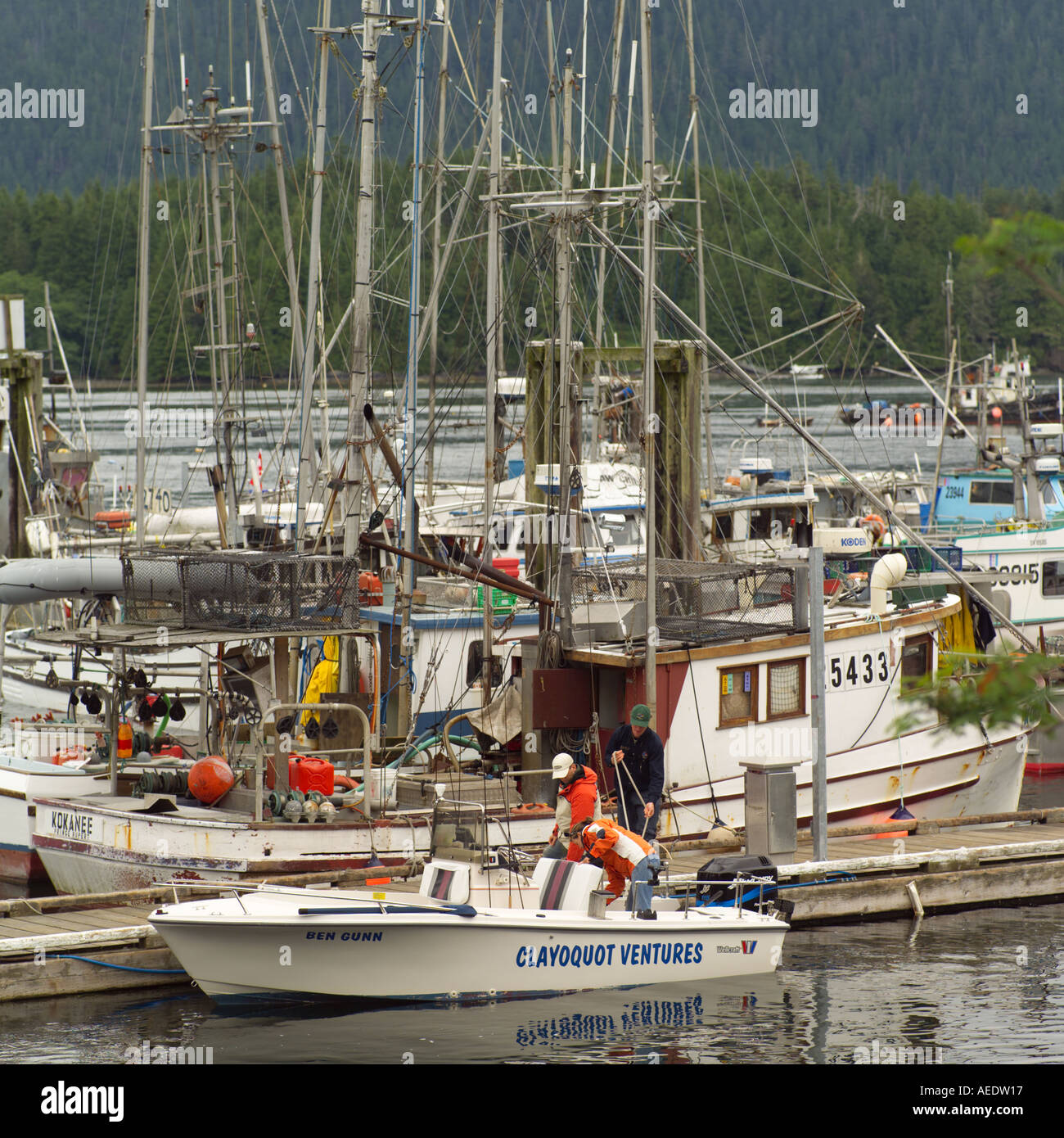 Pacific Rim National Park Vancouver Island Canada Stock Photo - Alamy