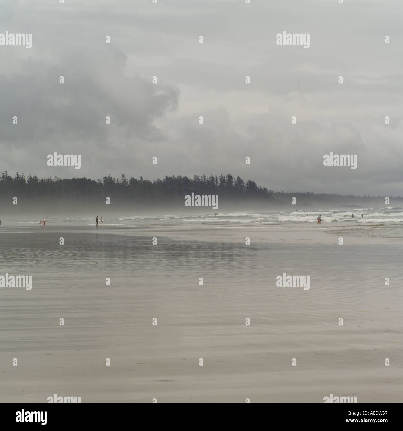 Pacific Rim National Park Vancouver Island Canada Stock Photo - Alamy