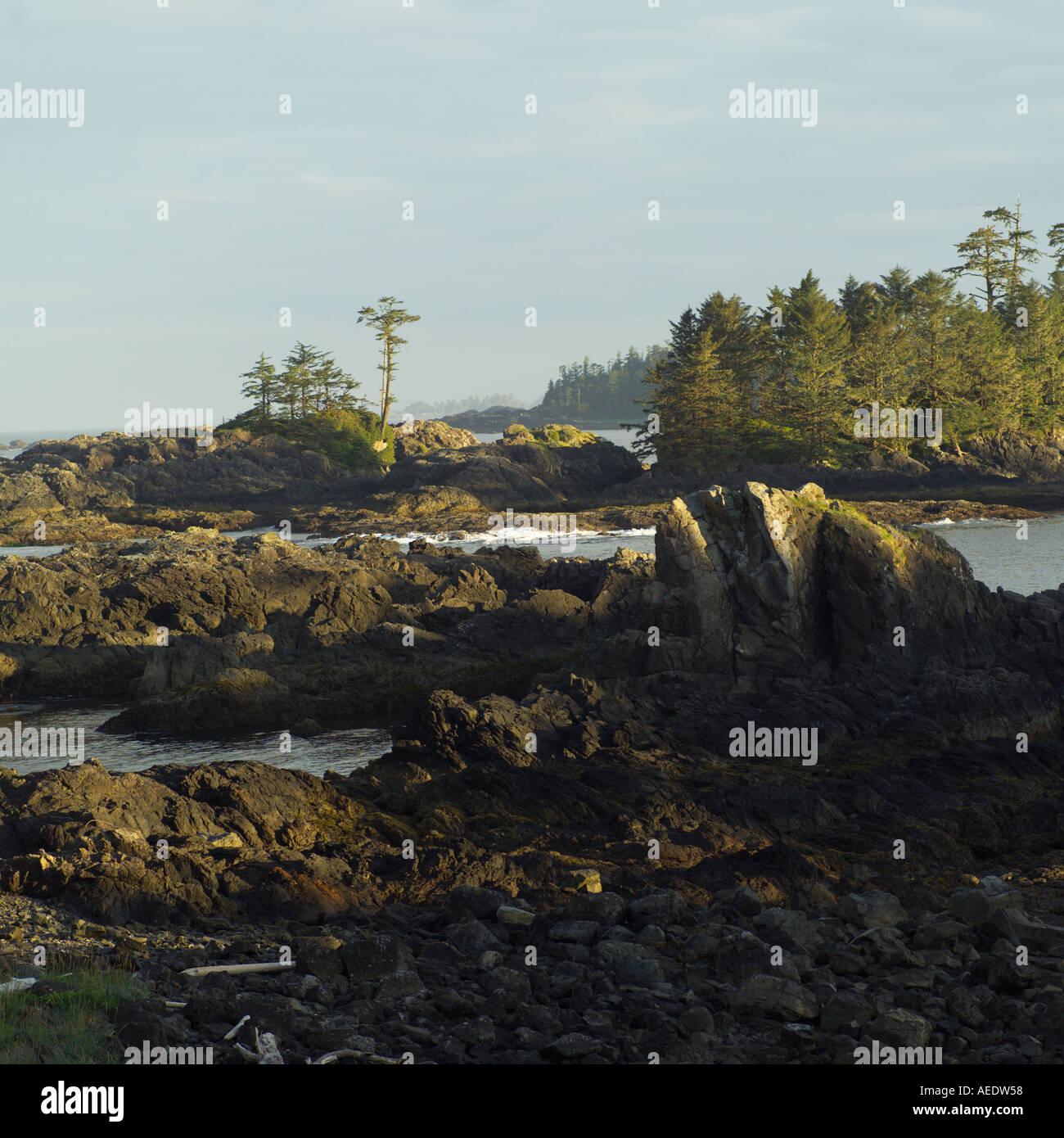 Pacific Rim National Park Vancouver Island Canada Stock Photo - Alamy
