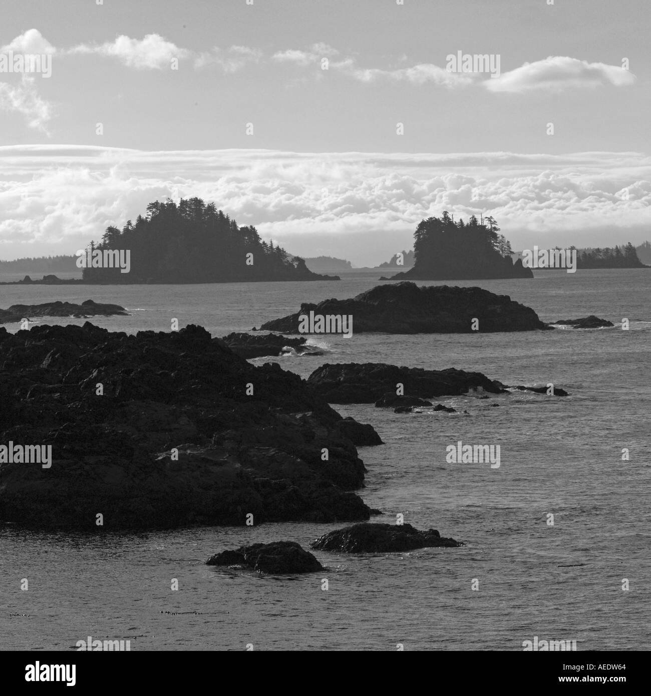 Pacific Rim National Park Vancouver Island Canada Stock Photo - Alamy