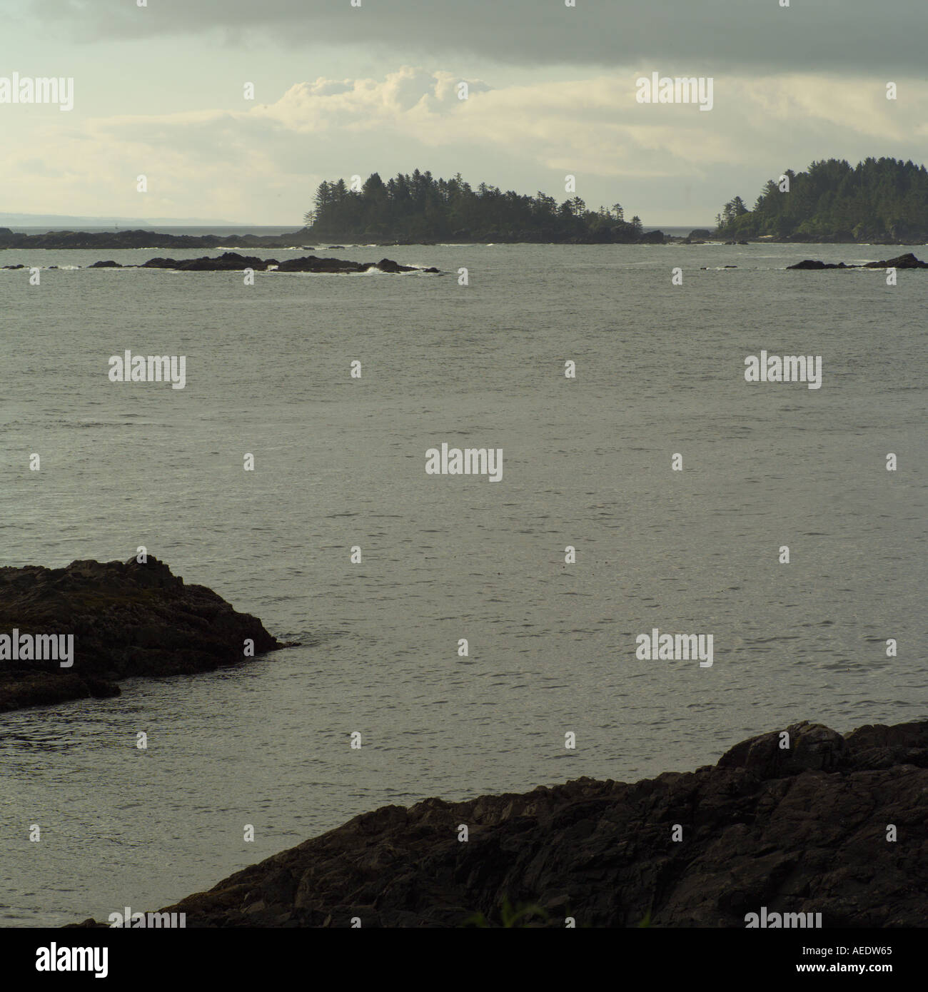 Pacific Rim National Park Vancouver Island Canada Stock Photo - Alamy