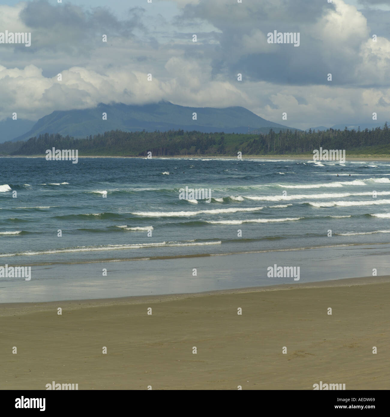 Pacific Rim National Park Vancouver Island Canada Stock Photo - Alamy