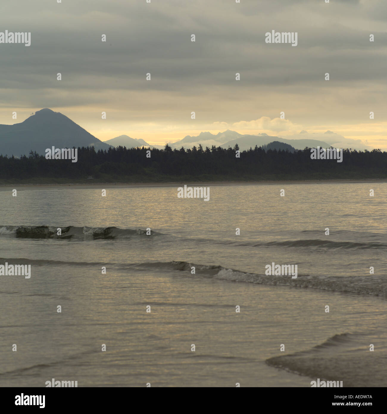 Pacific Rim National Park Vancouver Island Canada Stock Photo - Alamy