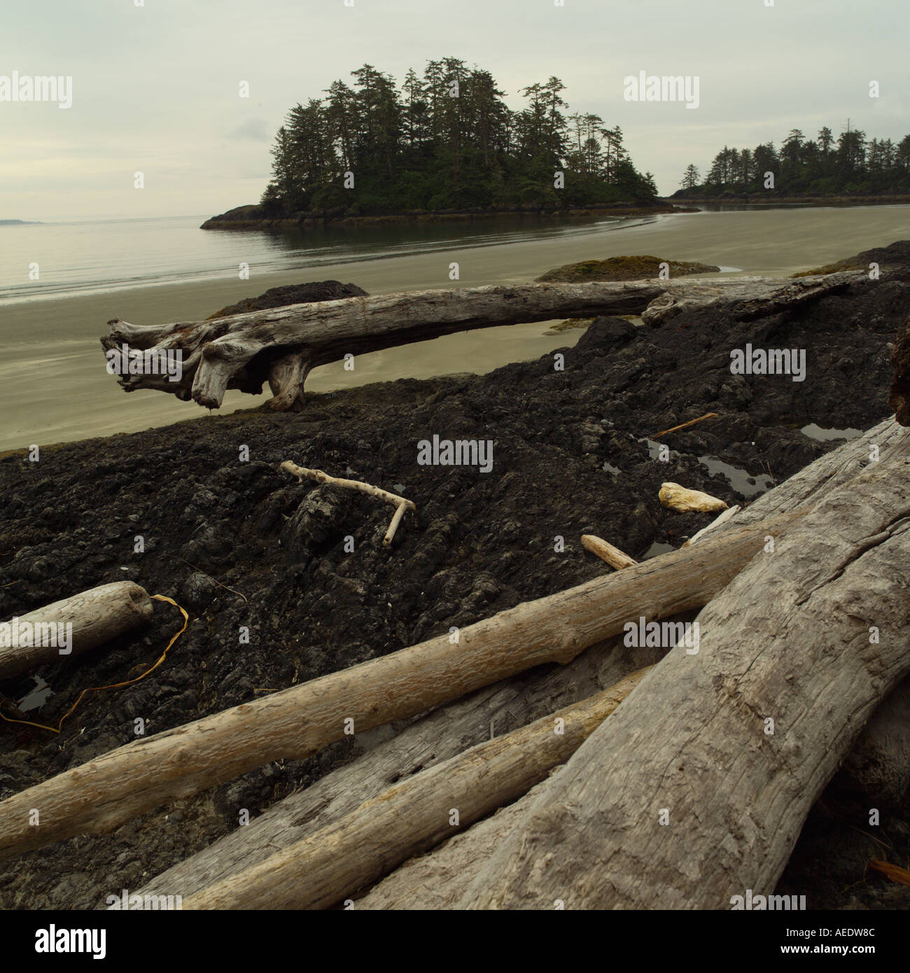 Pacific Rim National Park Vancouver Island Canada Stock Photo - Alamy