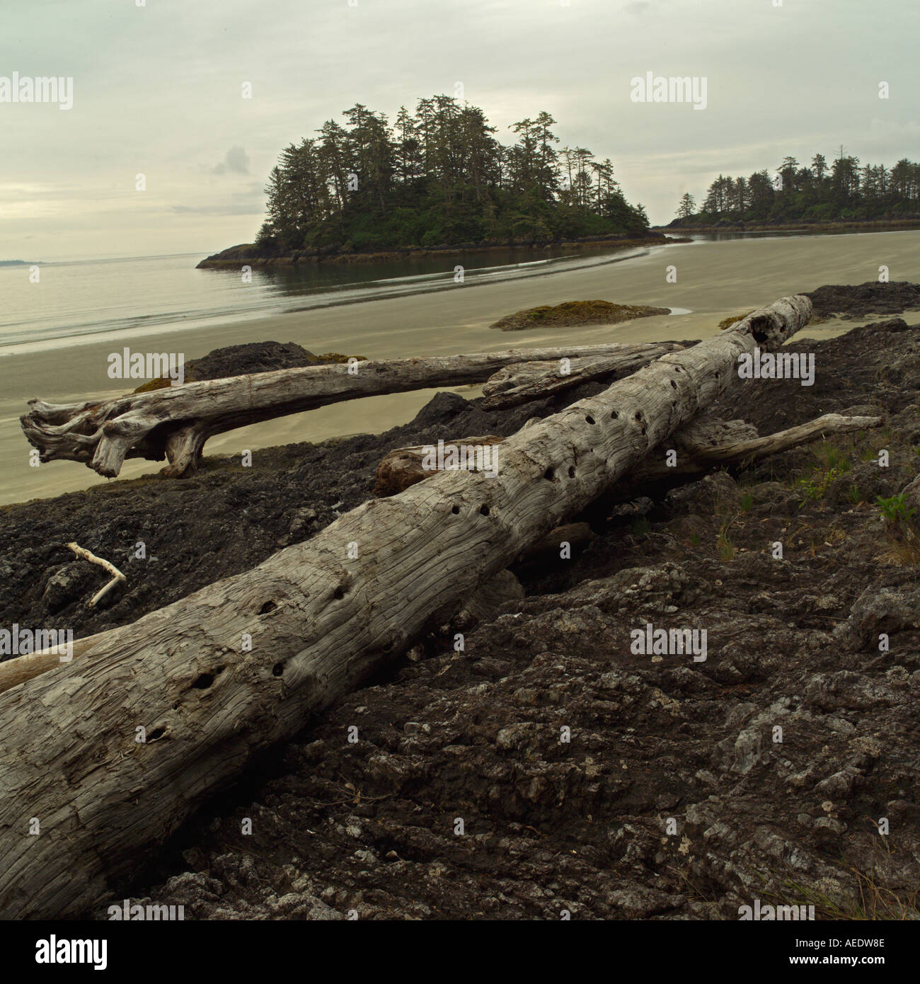 Pacific Rim National Park Vancouver Island Canada Stock Photo - Alamy