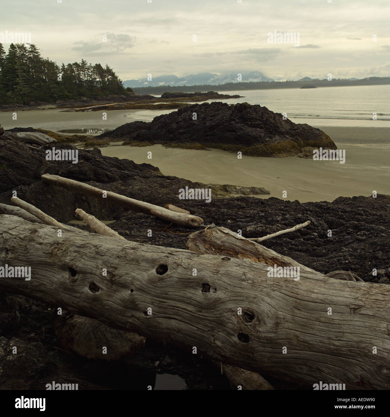 Pacific Rim National Park Vancouver Island Canada Stock Photo - Alamy