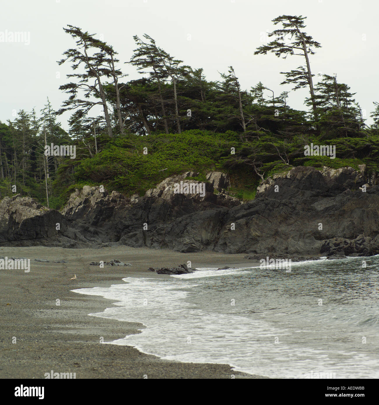 Pacific Rim National Park Vancouver Island Canada Stock Photo - Alamy