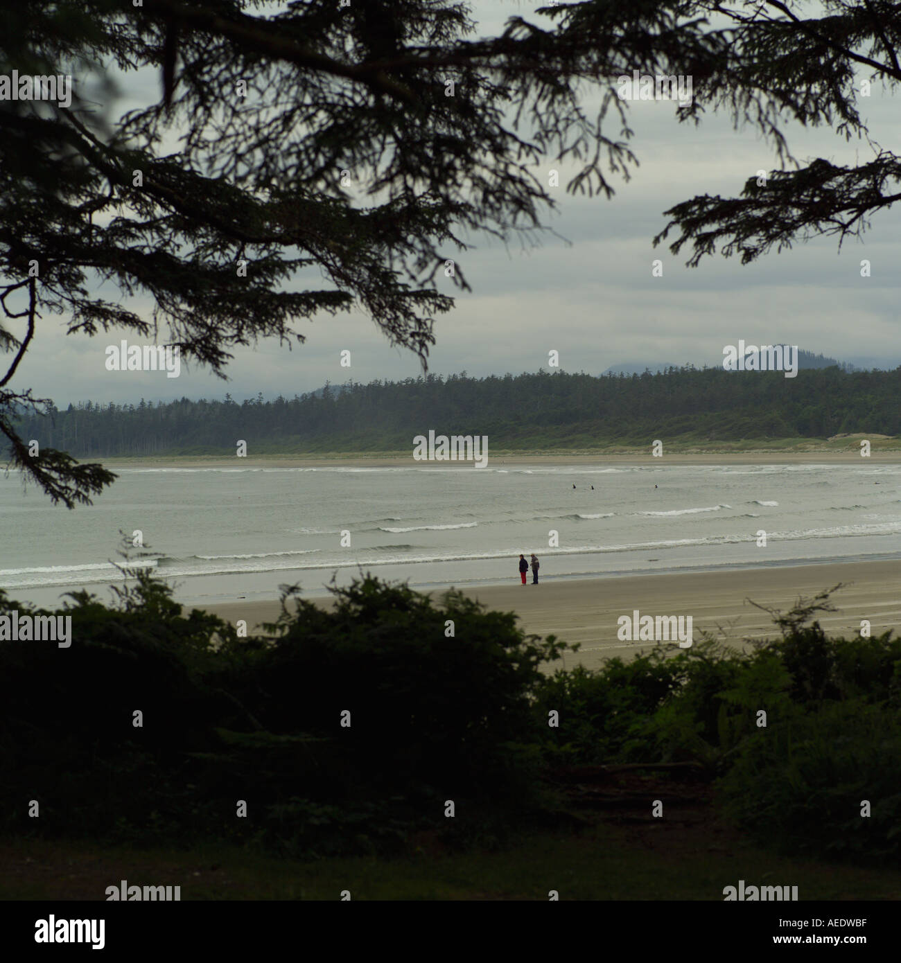 Pacific Rim National Park Vancouver Island Canada Stock Photo - Alamy