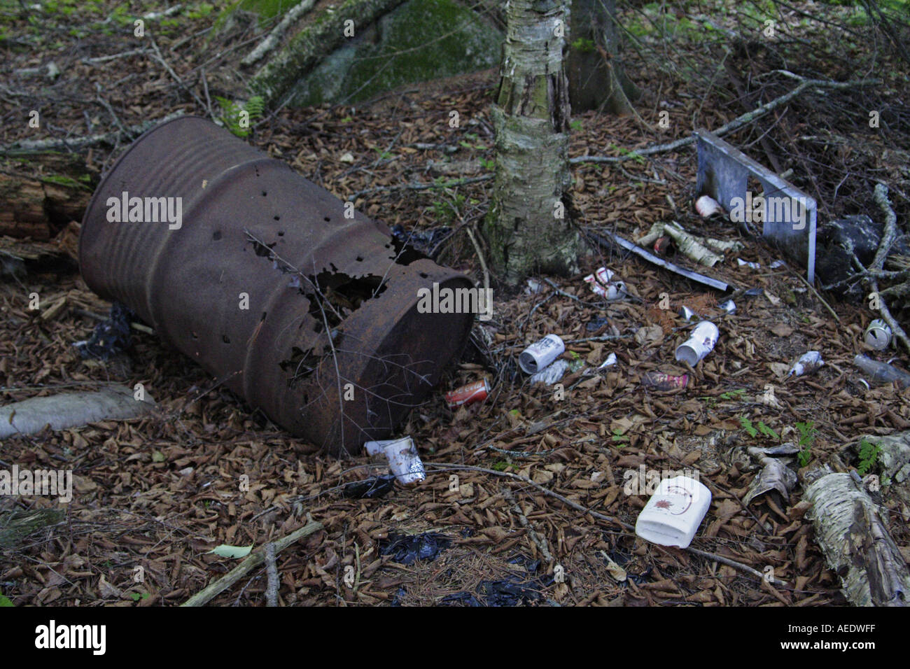 House trash left in Adirondack State Park New York State Stock Photo ...