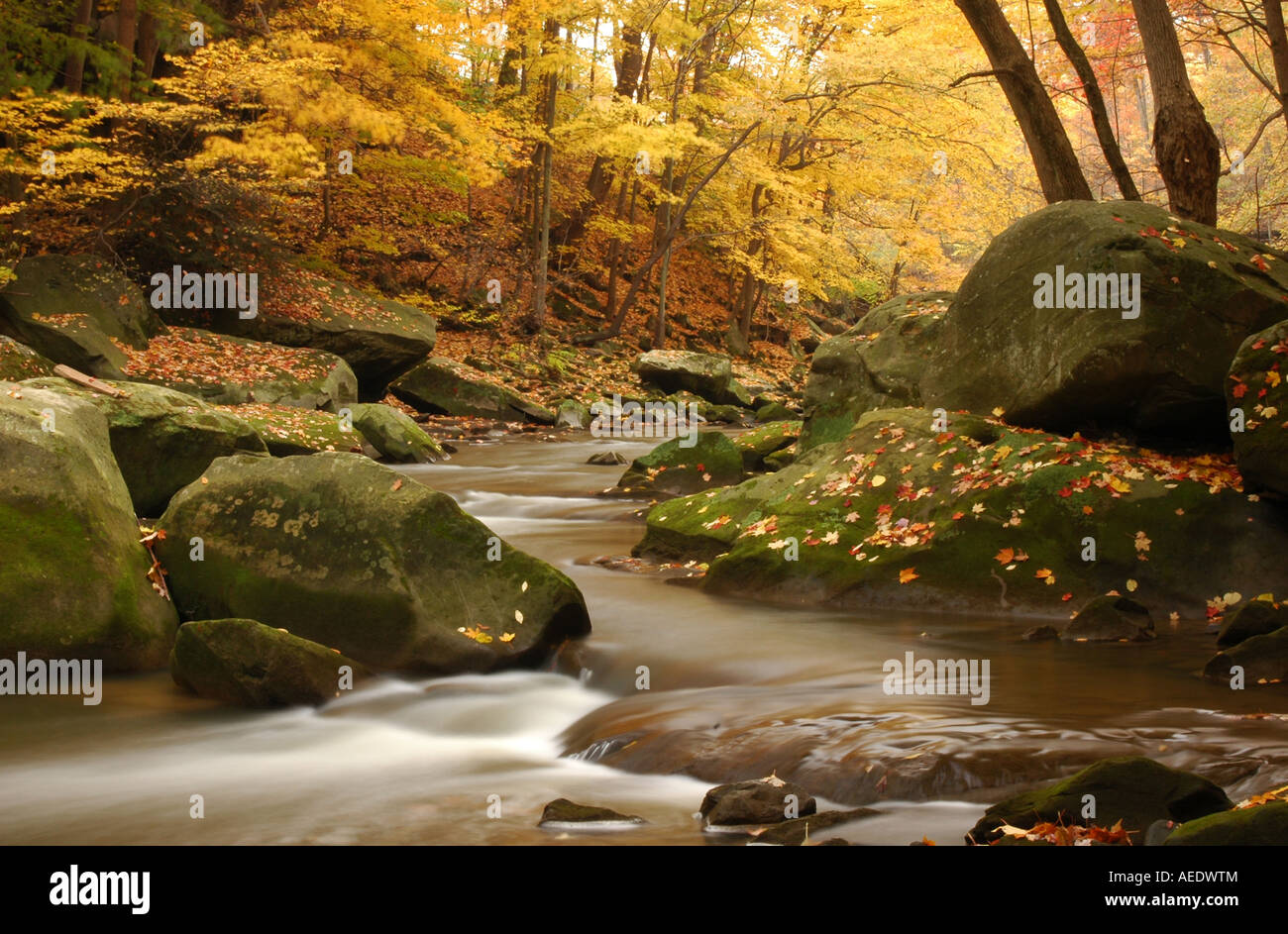 Rocky River Autumn, Ohio Stock Photo - Alamy
